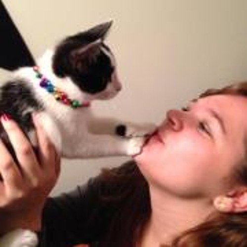 Stream Sarah Cylkowski music | Listen to songs, albums, playlists for ...