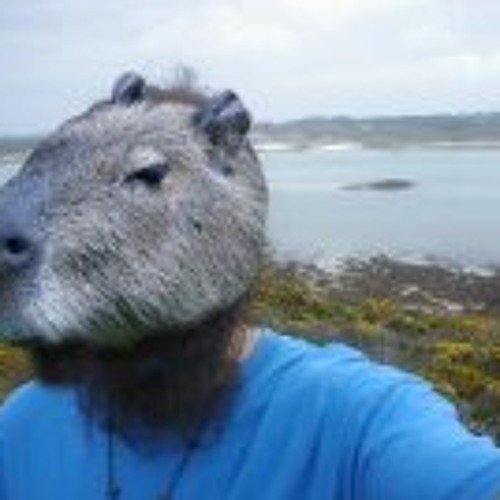 Stream Stuart Basden music | Listen to songs, albums, playlists for ...