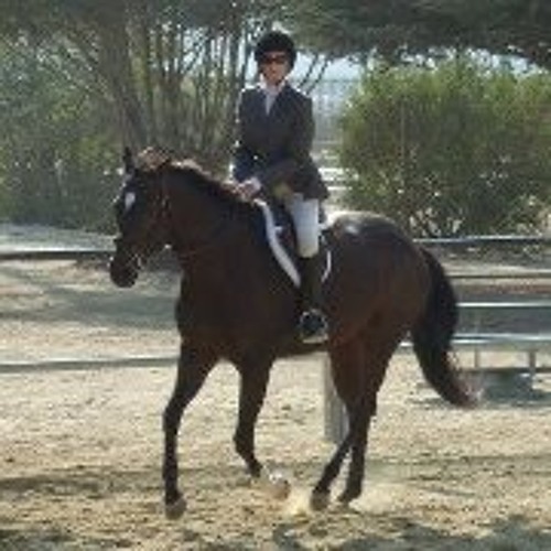 Stream Anna Bartelt music | Listen to songs, albums, playlists for free ...