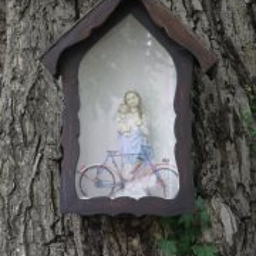 Stream Anne Aman Jenniskens music | Listen to songs, albums, playlists ...