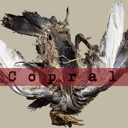 Stream Copral music | Listen to songs, albums, playlists for free on ...