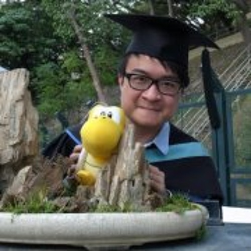 Stream Wong Fa | Listen to Rollin Sports 01 playlist online for free on ...