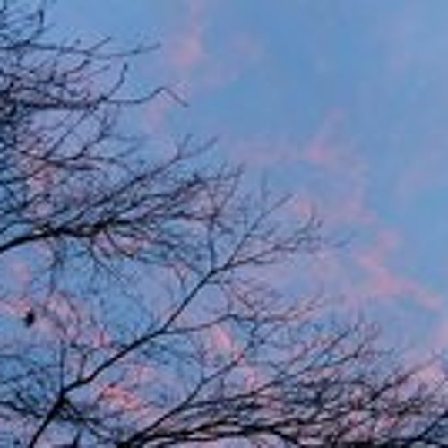 Stream Liz Falconer music | Listen to songs, albums, playlists for free ...