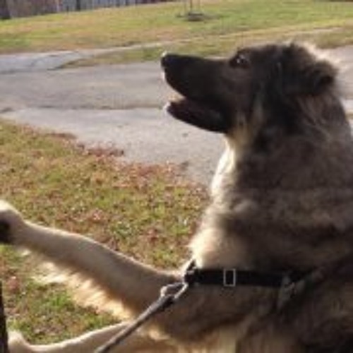 Stream Doug Atwell music | Listen to songs, albums, playlists for free ...