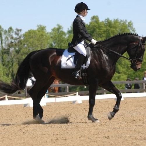 Stream Ashley Singer music | Listen to songs, albums, playlists for ...