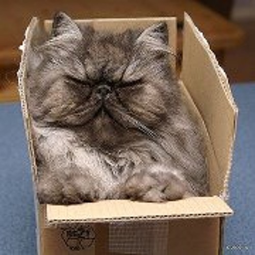 Stream Emily Searle music | Listen to songs, albums, playlists for free ...