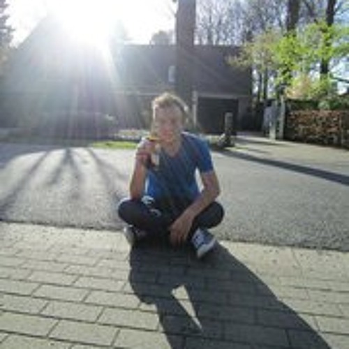 Stream Valentijn Van Driessen music | Listen to songs, albums ...