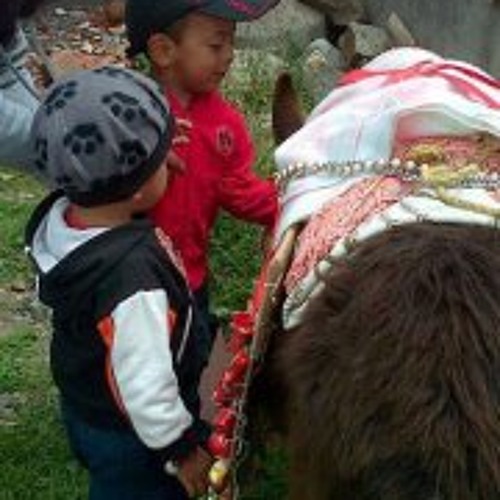 Stream Merchan Ivan music | Listen to songs, albums, playlists for free ...