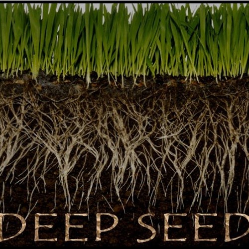 Stream Deep Seed music | Listen to songs, albums, playlists for free on ...