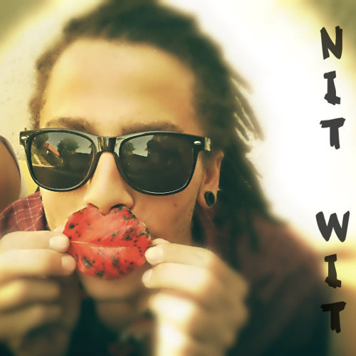Stream Nit-Wit music | Listen to songs, albums, playlists for free on ...