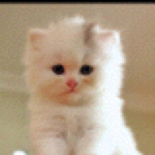 Stream Naila Nasir Mahmood music | Listen to songs, albums, playlists ...