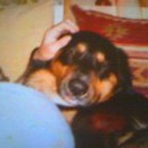 Stream Pedro Russo music | Listen to songs, albums, playlists for free ...