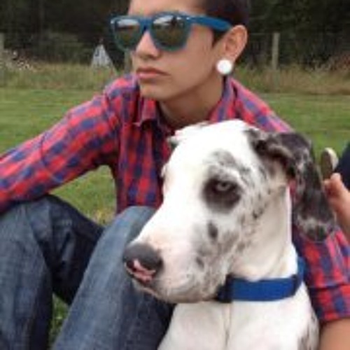 Stream Nikolas Michael Cortez music | Listen to songs, albums ...