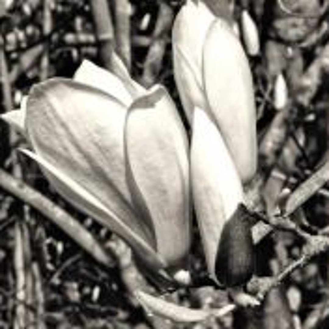 Stream O Belle à la fontaine by Joseph Camille Bulot | Listen online ...