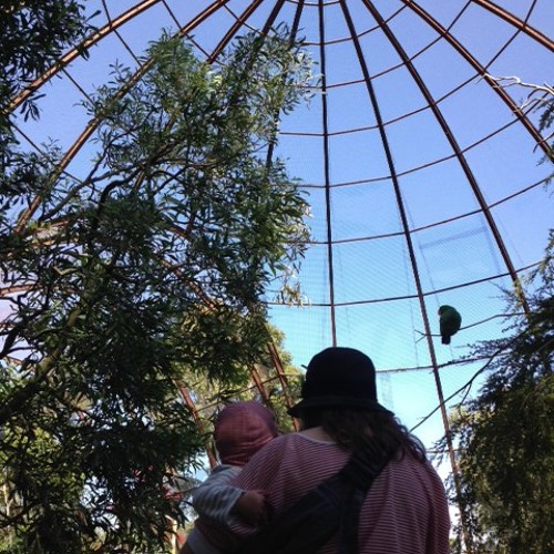 Stream claire jenkins music | Listen to songs, albums, playlists for ...