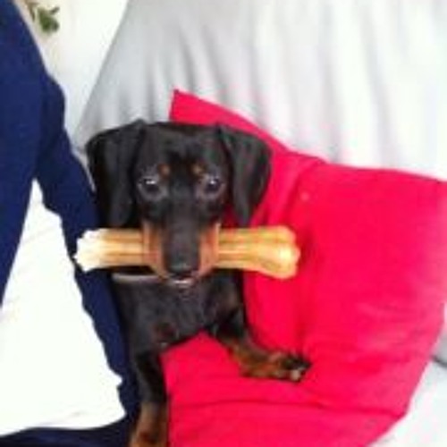 Stream Annie Duque music | Listen to songs, albums, playlists for free ...