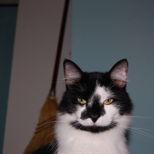 Stream Mrs.Mars | Listen to When Your Mom Dies You Go Live With Your ...