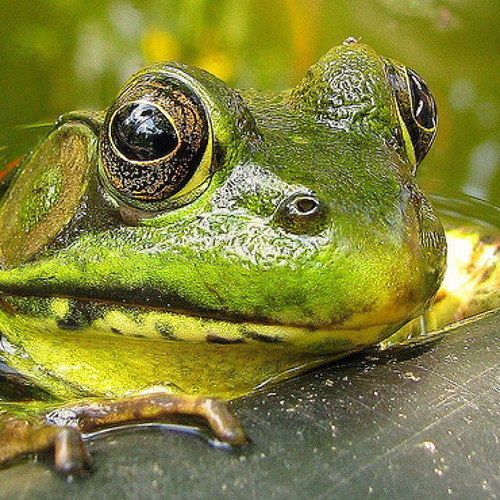 Stream Timothy Joseph music | Listen to songs, albums, playlists for ...