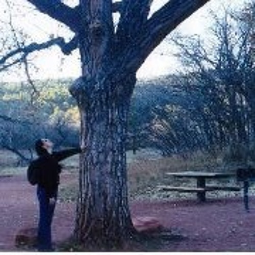 Stream Amy Isbister-Cook music | Listen to songs, albums, playlists for ...