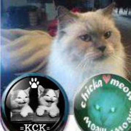 Stream Madison Monson music | Listen to songs, albums, playlists for ...