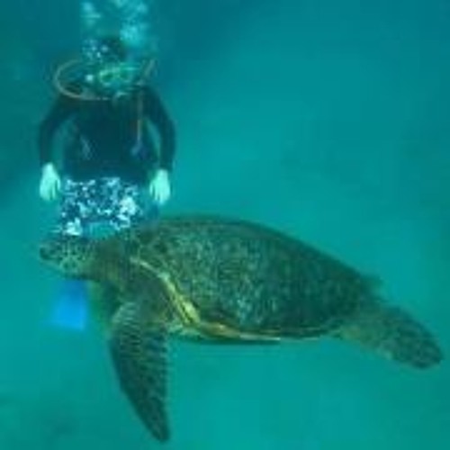 Stream Colin Reinhardt music | Listen to songs, albums, playlists for ...