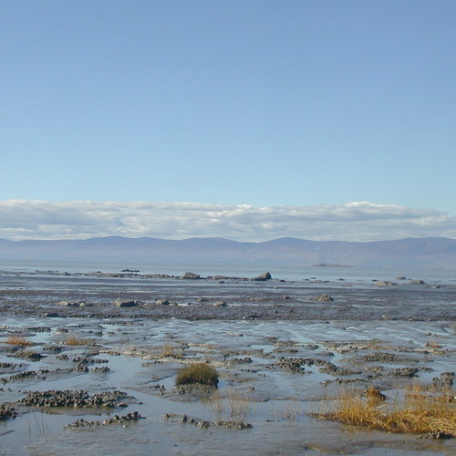 Stream À La Claire Fontaine/Childhood Memory by David Vermette | Listen ...