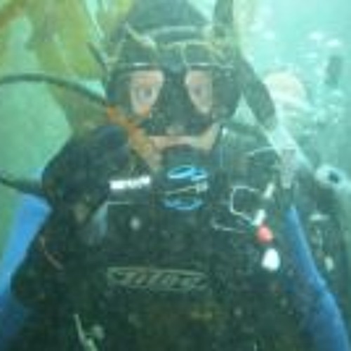 Stream Cara Fuller 1 music | Listen to songs, albums, playlists for ...