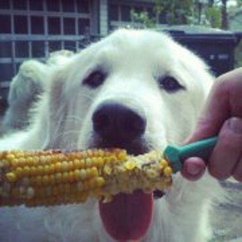 Stream Kimberly Shaffer 1 music | Listen to songs, albums, playlists ...