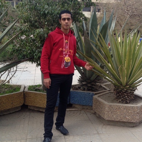 Stream ahmed shaat music | Listen to songs, albums, playlists for free ...