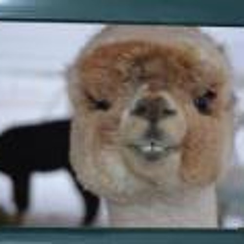 Stream Dean Boon 1 music | Listen to songs, albums, playlists for free ...