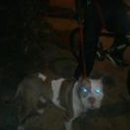 Stream Anthony Mccants music | Listen to songs, albums, playlists for ...