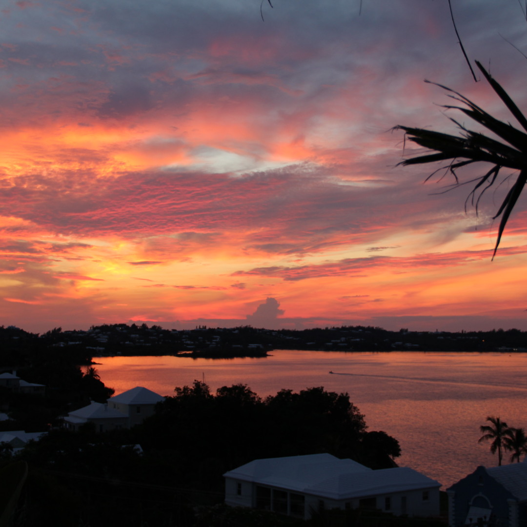 Stream Chronixx-Somewhere-(Perfect Key Riddim) by Jahson Stalwart ...