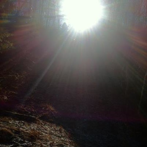 Stream S2 - Shlokam - Kapi by Usha Chari | Listen online for free on ...