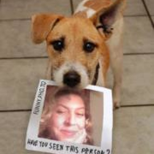 Stream Sylvia Copeland music | Listen to songs, albums, playlists for ...