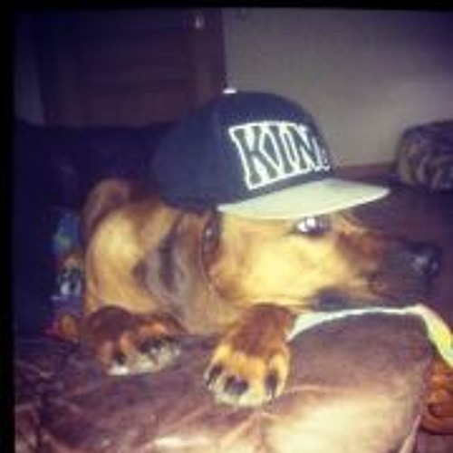 Stream Bob Schram music | Listen to songs, albums, playlists for free ...