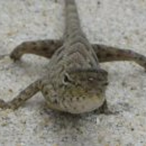 Stream Perry Ng music | Listen to songs, albums, playlists for free on ...