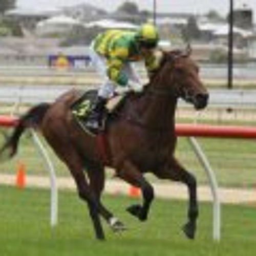 Stream Matthew Williams Racing music | Listen to songs, albums ...