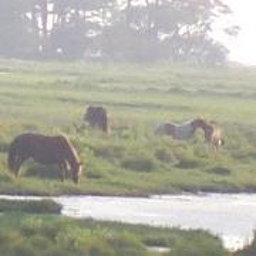 Stream Kelly Mallory music | Listen to songs, albums, playlists for ...