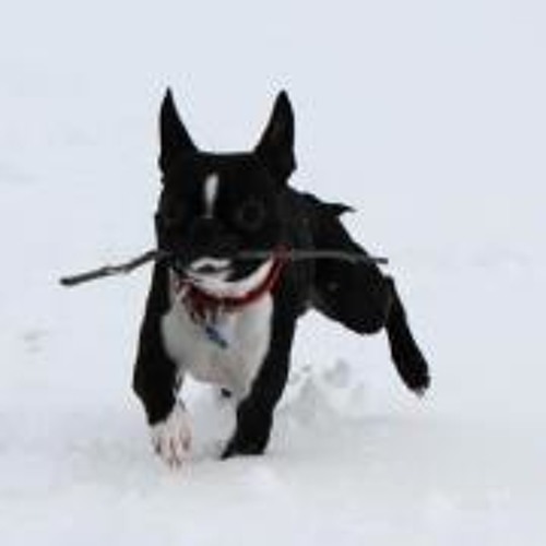 Stream Ashley Beaman-Clements music | Listen to songs, albums ...