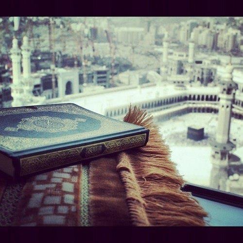 Stream Ex Sàà Ràà music | Listen to songs, albums, playlists for free ...