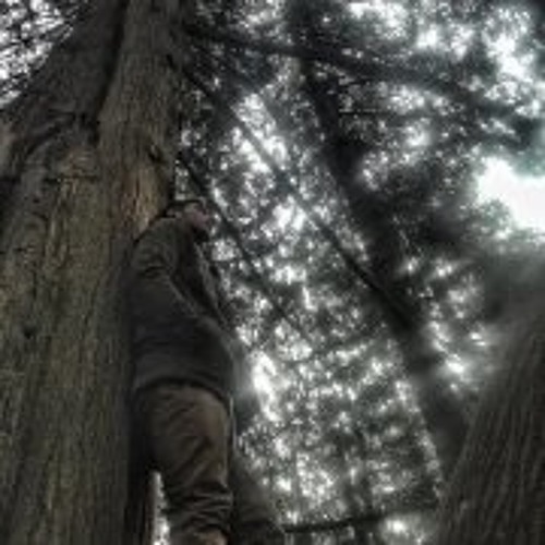 Stream Christopher Rasmussen 2 music | Listen to songs, albums ...