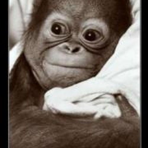 Stream Khalif T. Kemp music | Listen to songs, albums, playlists for ...