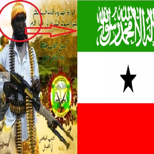 Stream Hack Somali music | Listen to songs, albums, playlists for free ...