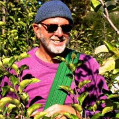 Stream Bob Banner music | Listen to songs, albums, playlists for free ...