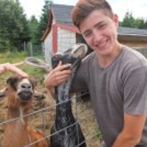 Stream Henry Choa music | Listen to songs, albums, playlists for free ...