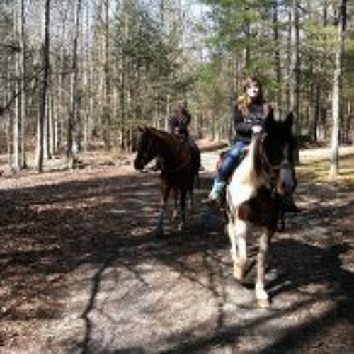 Stream Laura Runkle Rhodes music | Listen to songs, albums, playlists ...