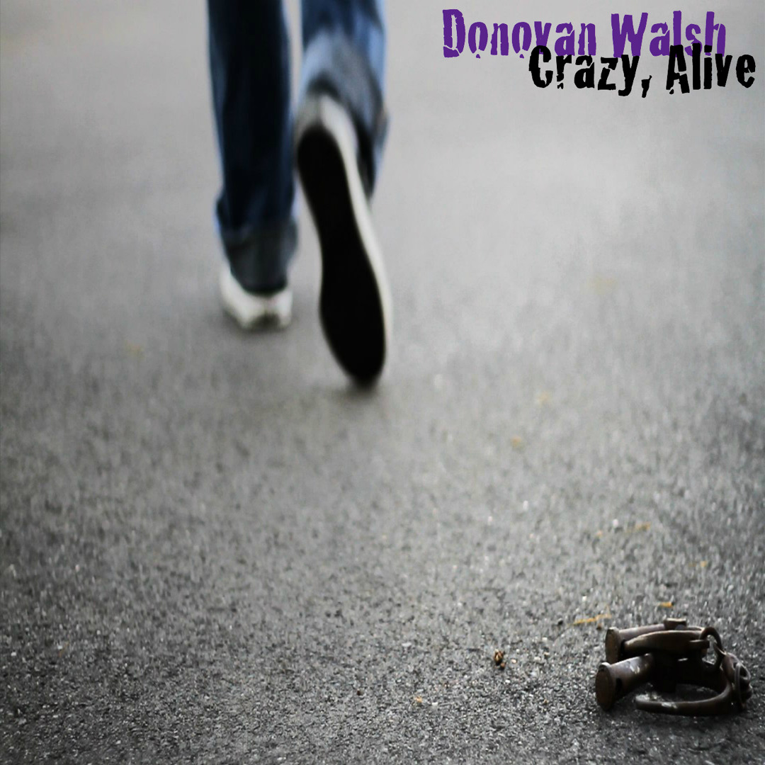 Stream BLUEY DANCE MODE! by Donovan Walsh | Listen online for free on ...