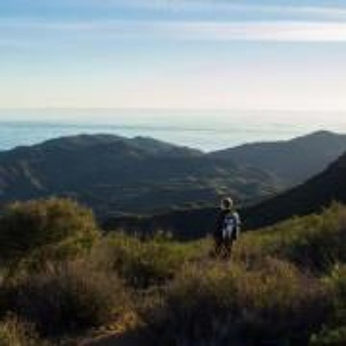 Stream Michael Telfer music | Listen to songs, albums, playlists for ...