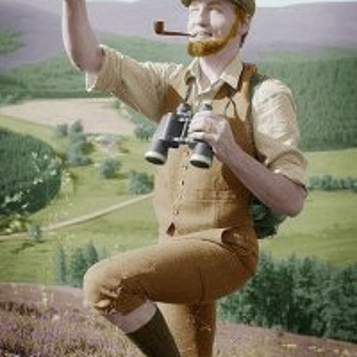 Stream Sniffe music | Listen to songs, albums, playlists for free on ...