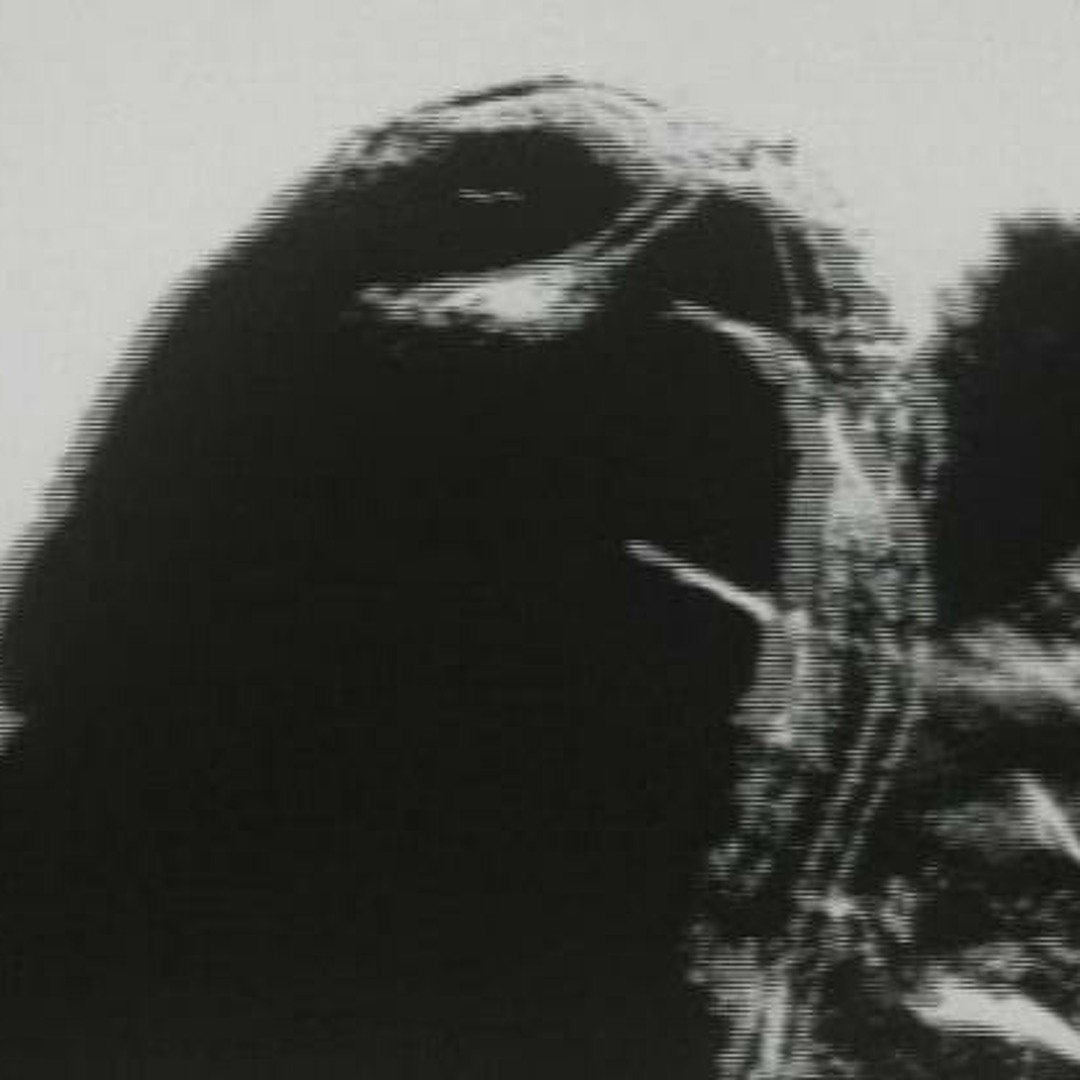 Stream HTDY music | Listen to songs, albums, playlists for free on ...